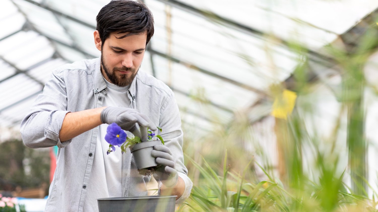 Learn About a PhD in Botany: Learn with Aimlay - Aimlay
